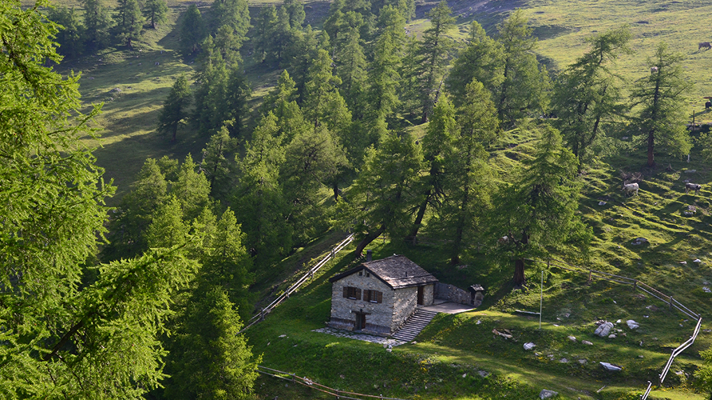 Grenier de Moay - übernachten - Pays du Saint-Bernard