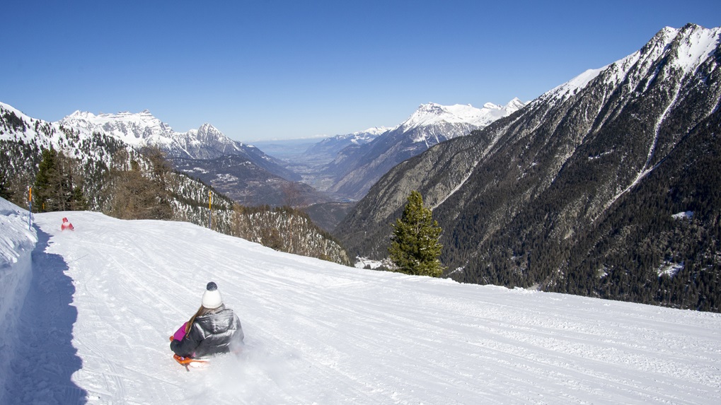 Luge sur la piste de la Breya - Au Pays du St-Bernard - Valais-Suisse