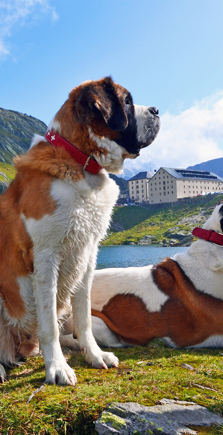 Il colle del Gran San Bernardo - Destinazione - Pays du Saint-Bernard